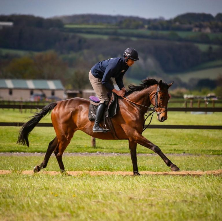 The Yard - Max Comley Racing