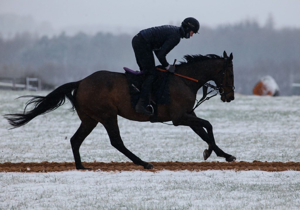 Daily Routine - Max Comley Racing