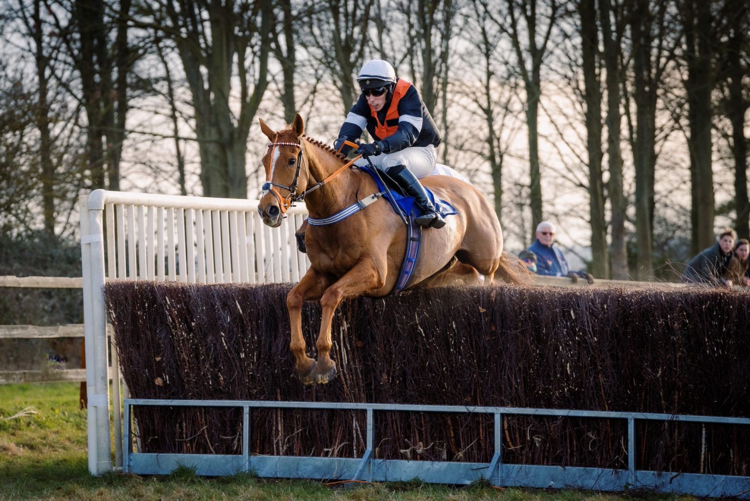 Max Comley Racing - Horse Trainer