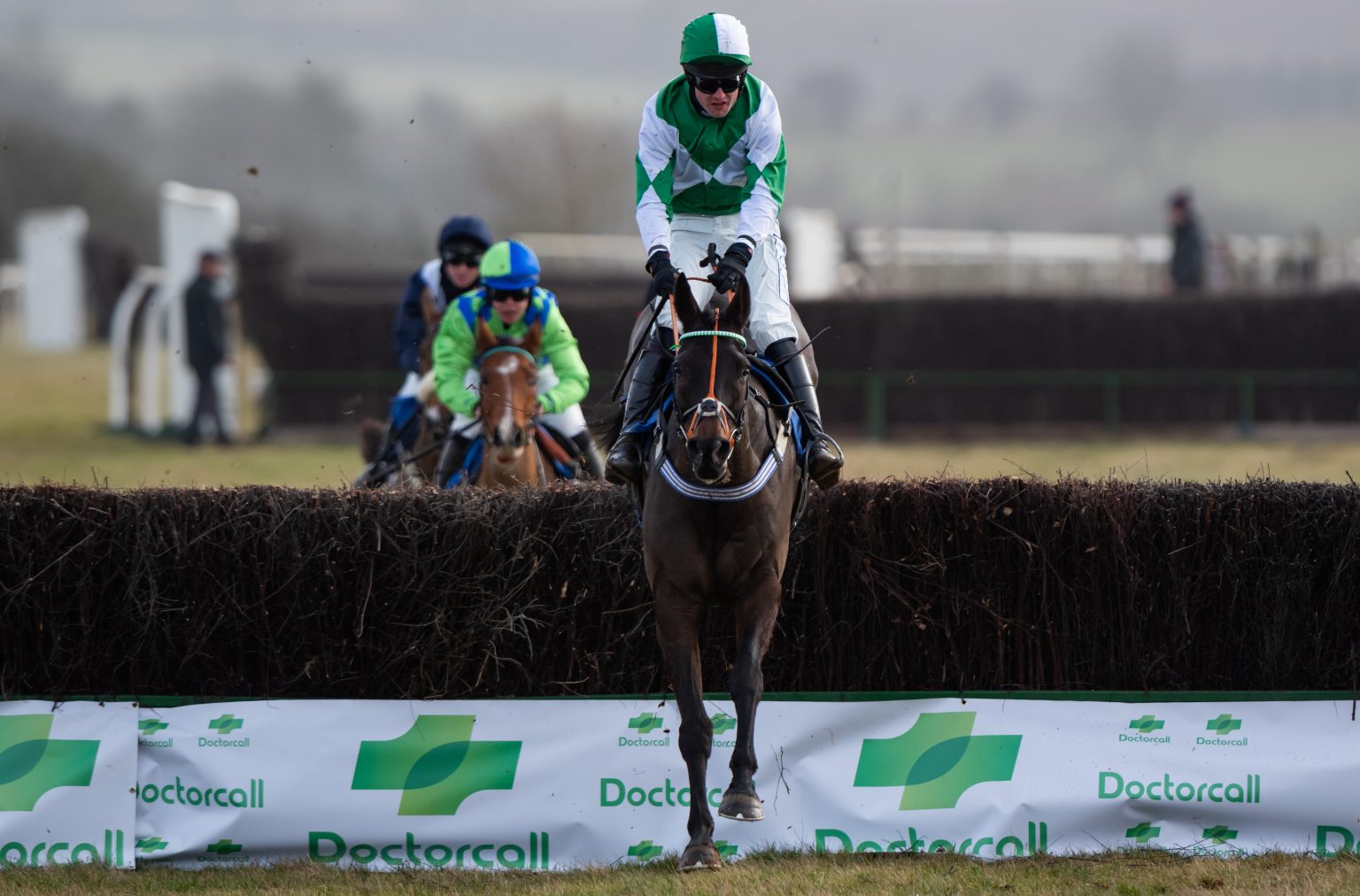 Max Comley Racing - Horse Trainer