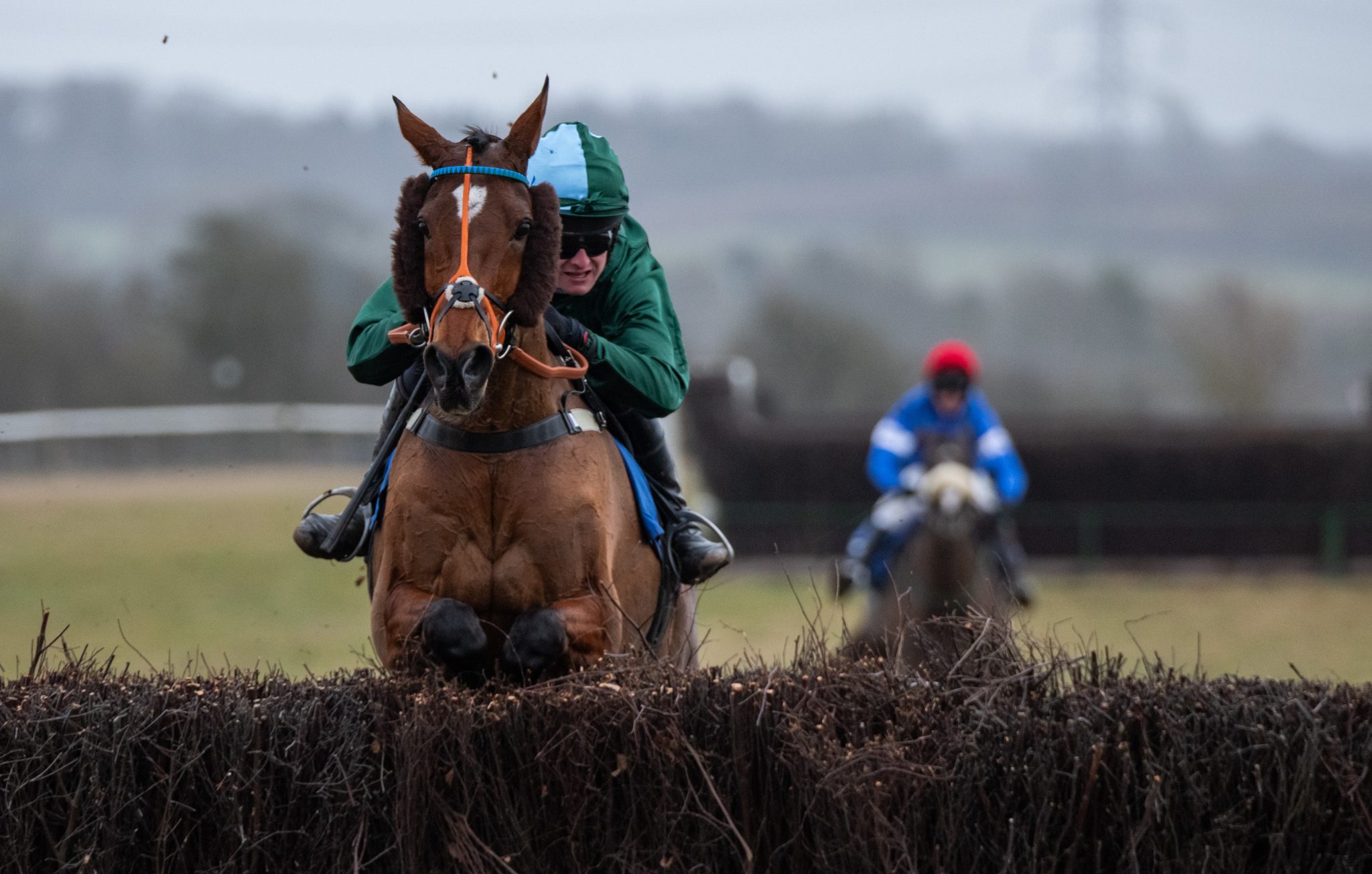 Max Comley Racing - Horse Trainer