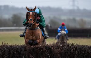 Max Comley Racing - Horse Trainer